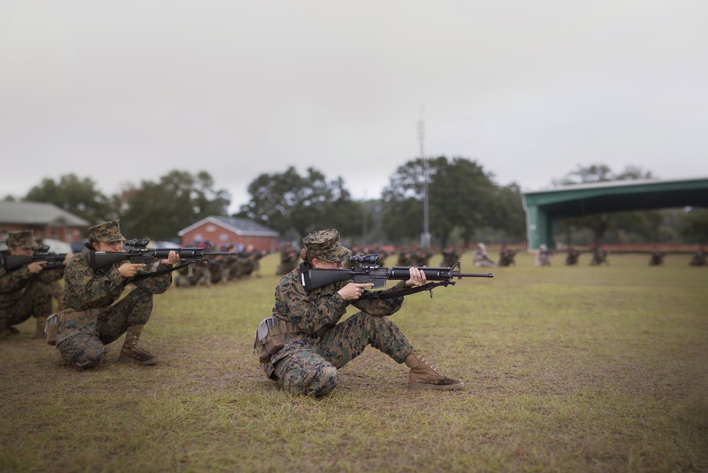 DVIDS - Images - Oscar Company – Marksmanship Training – Nov. 22, 2017 ...