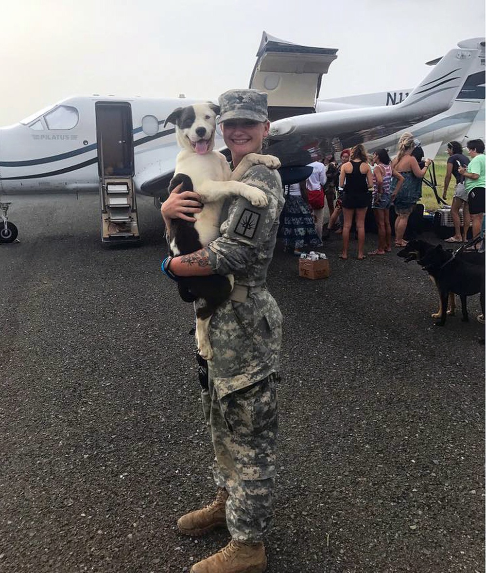 DVIDS - News - Virgin Islands dog finds new home with NY National Guard MP