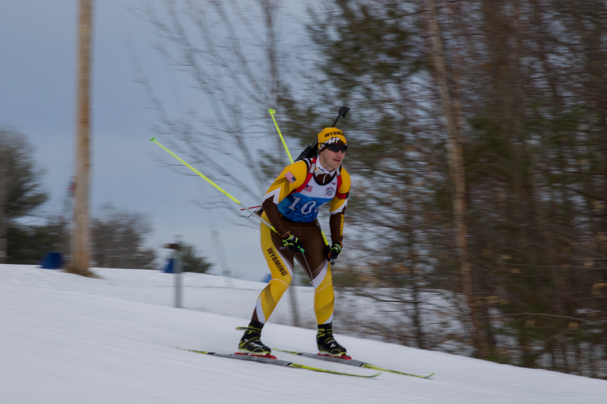 Biathlon Skis