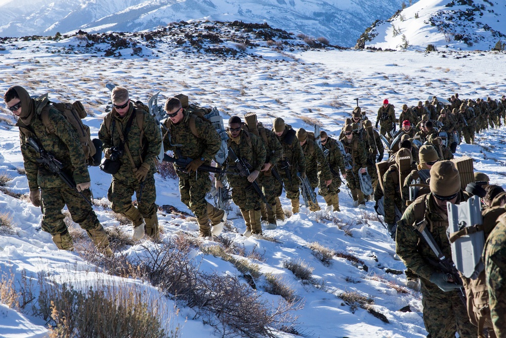 DVIDS - Images - Task Force Arctic Edge [Image 8 of 15]