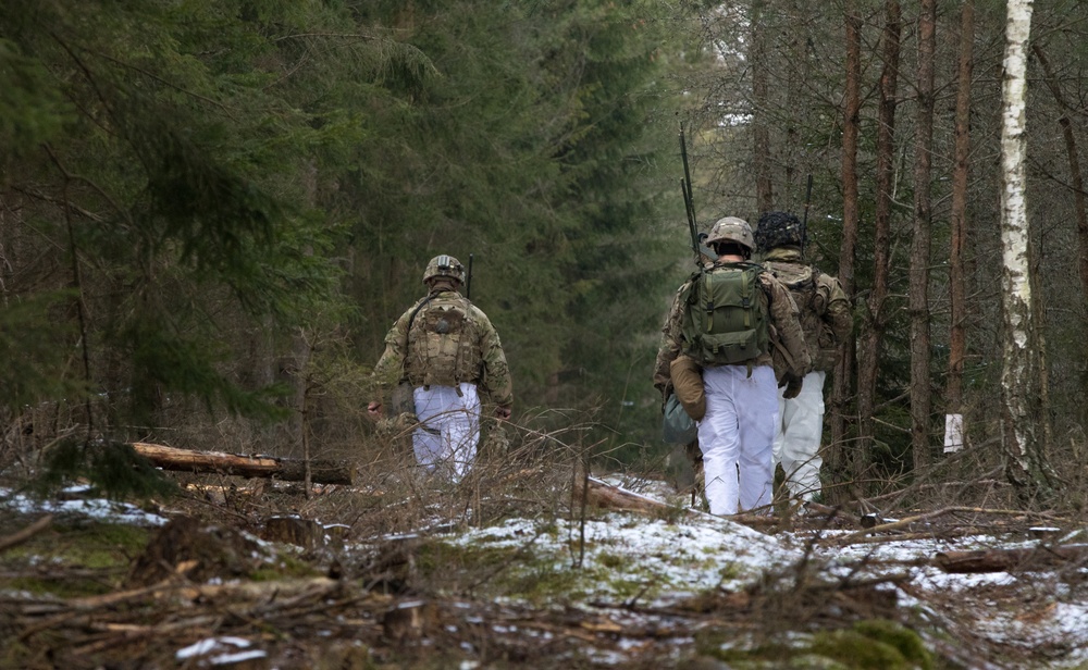 DVIDS - Images - Battle Group Poland conducts exercise Puma [Image 9 of 12]