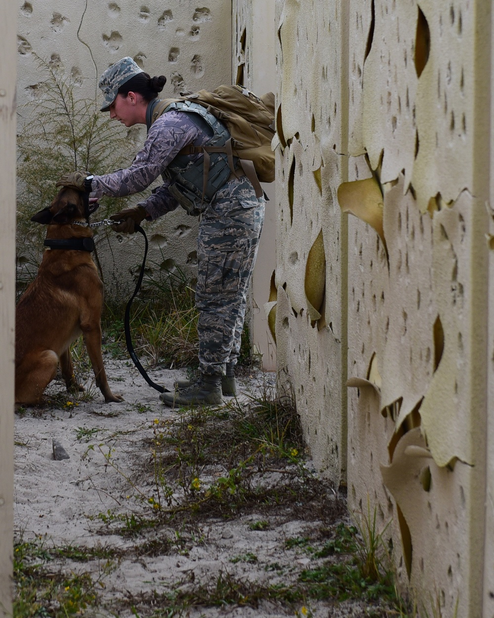 DVIDS - Images - Military Working Dog Handlers Maintain Readiness ...