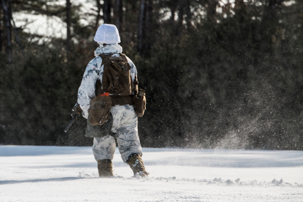 DVIDS - Images - “Indomitable Snowmen” with 31st MEU tackle cold ...