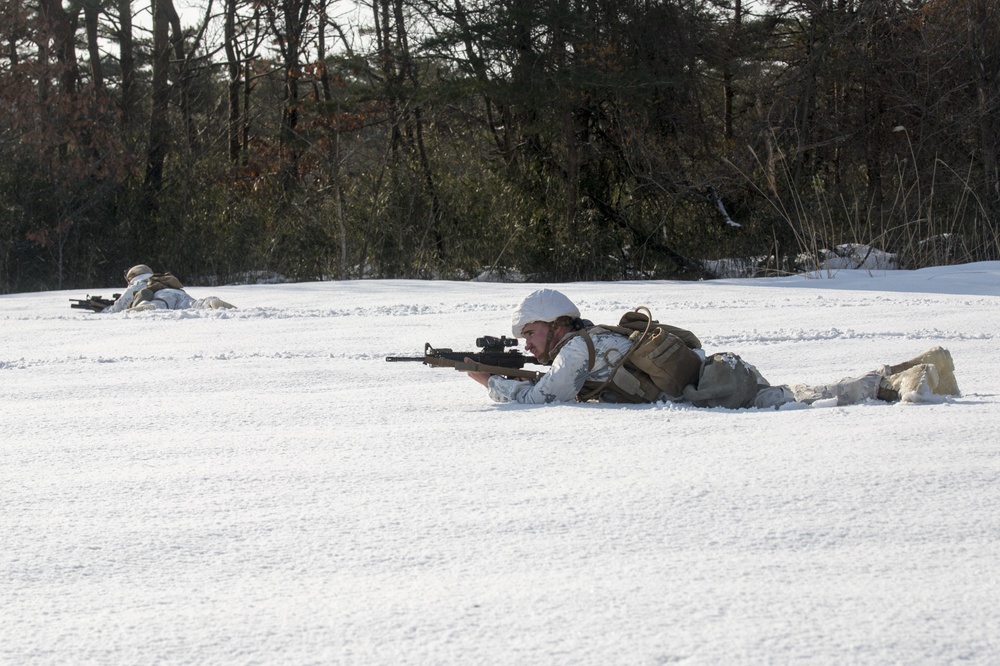 DVIDS - Images - “Indomitable Snowmen” with 31st MEU tackle cold ...
