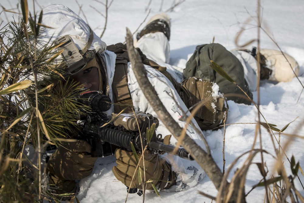 DVIDS - Images - “Indomitable Snowmen” with 31st MEU tackle cold ...