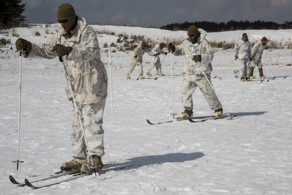 DVIDS - Images - Snow day in the sun, Charlie Company Marines refine ...
