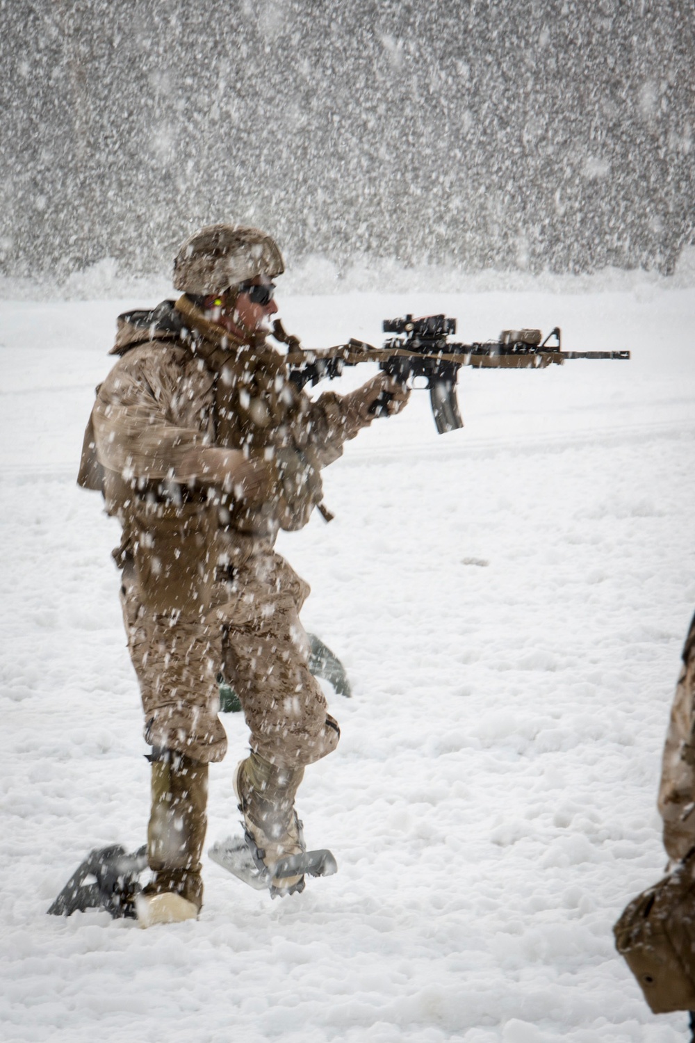 DVIDS - Images - Charlie Company Marines refine cold-weather combat ...