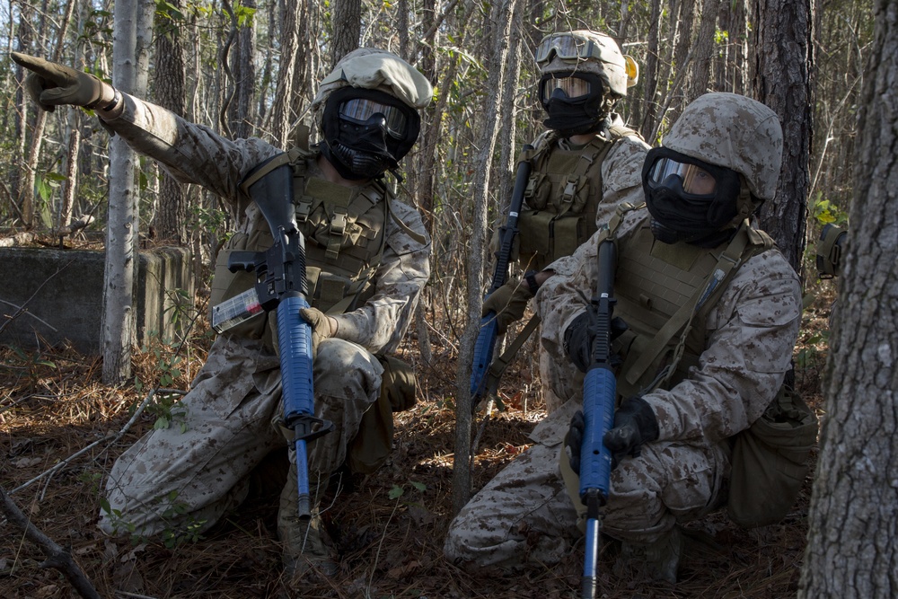 DVIDS - Images - II MIG Marines conduct Scenario Provisional Infantry ...