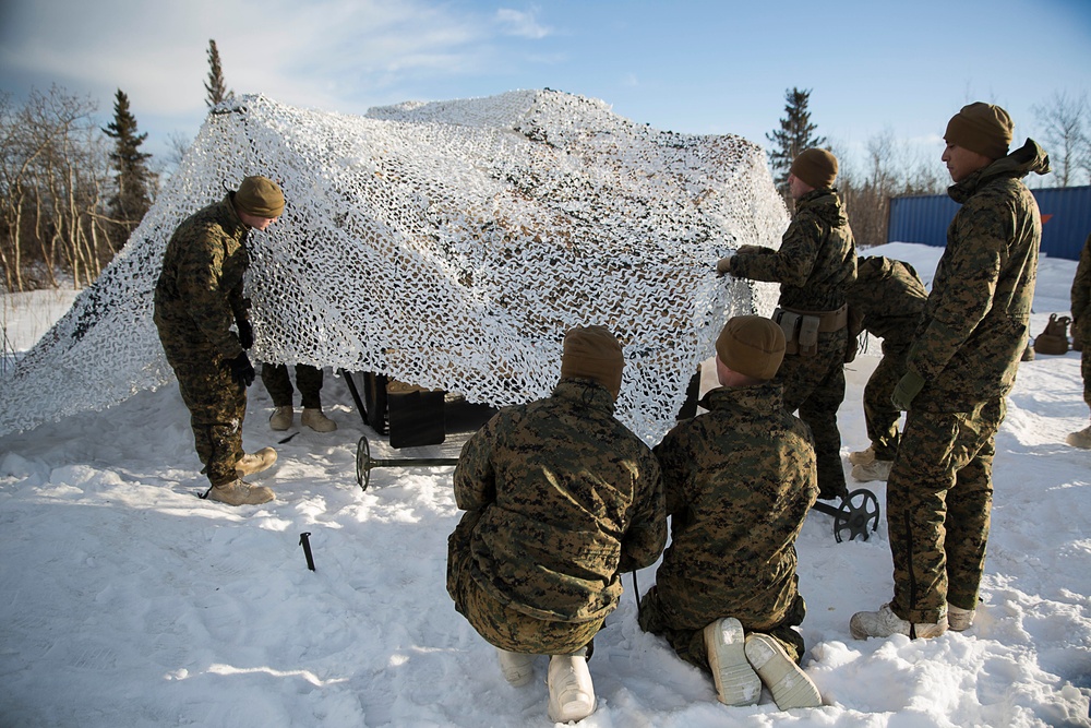 DVIDS - Images - TFAE Marines prepare for Exercise Arctic Edge [Image 3 ...