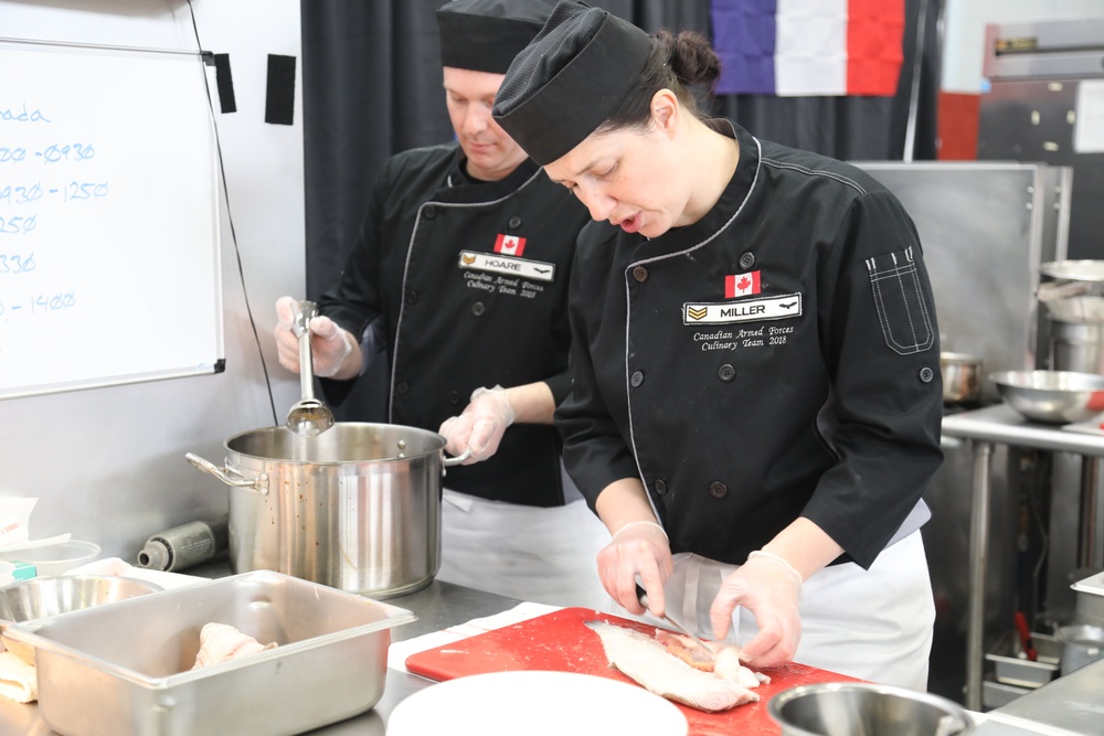 DVIDS - Images - JCTE 2018 - International [Image 17 of 19]