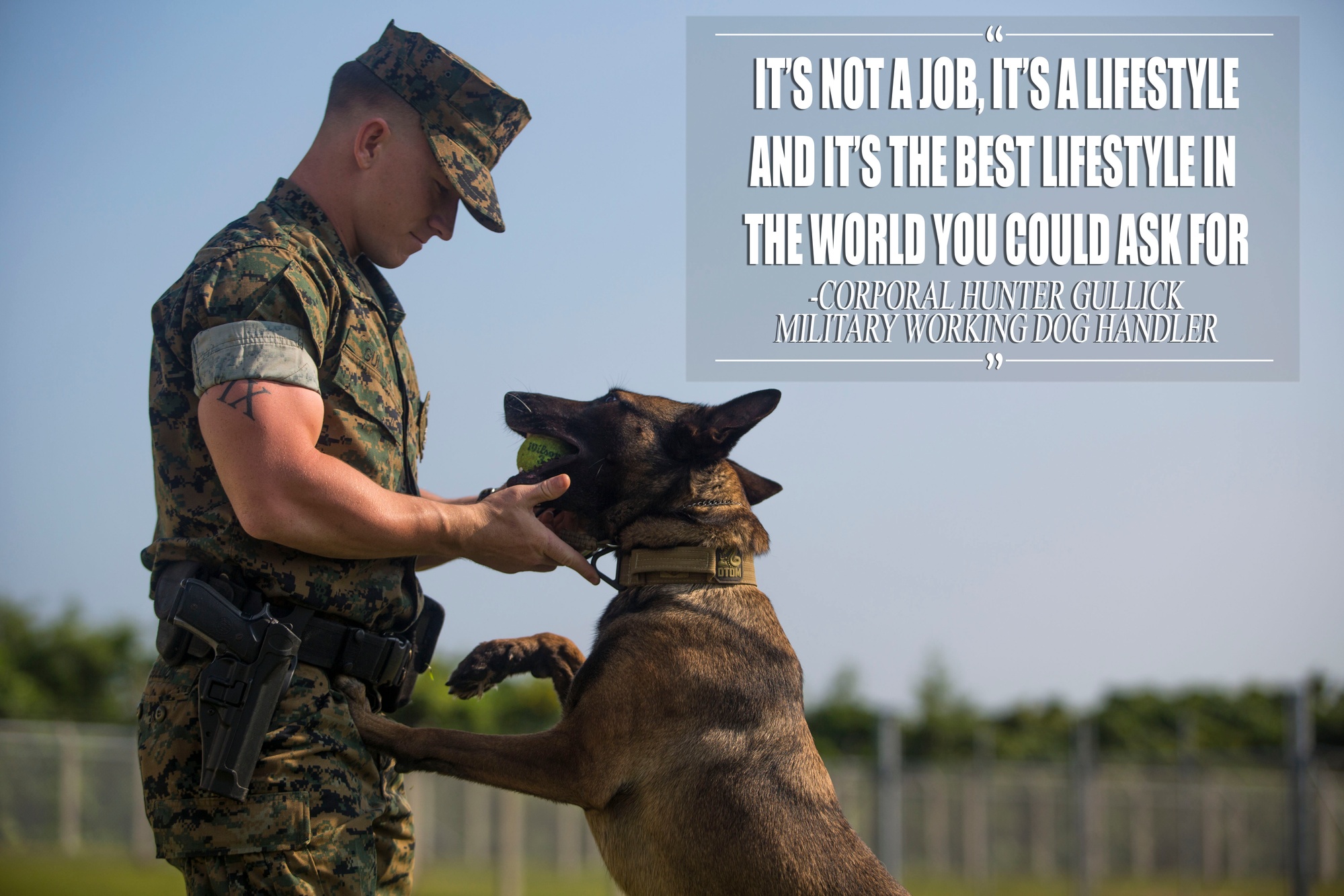 Army Dog Quotes