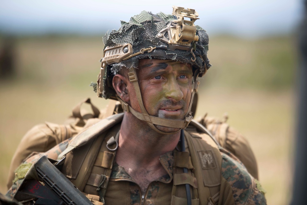 DVIDS - Images - Alpha Co. conducts helo-borne raid on Ie Shima Island ...