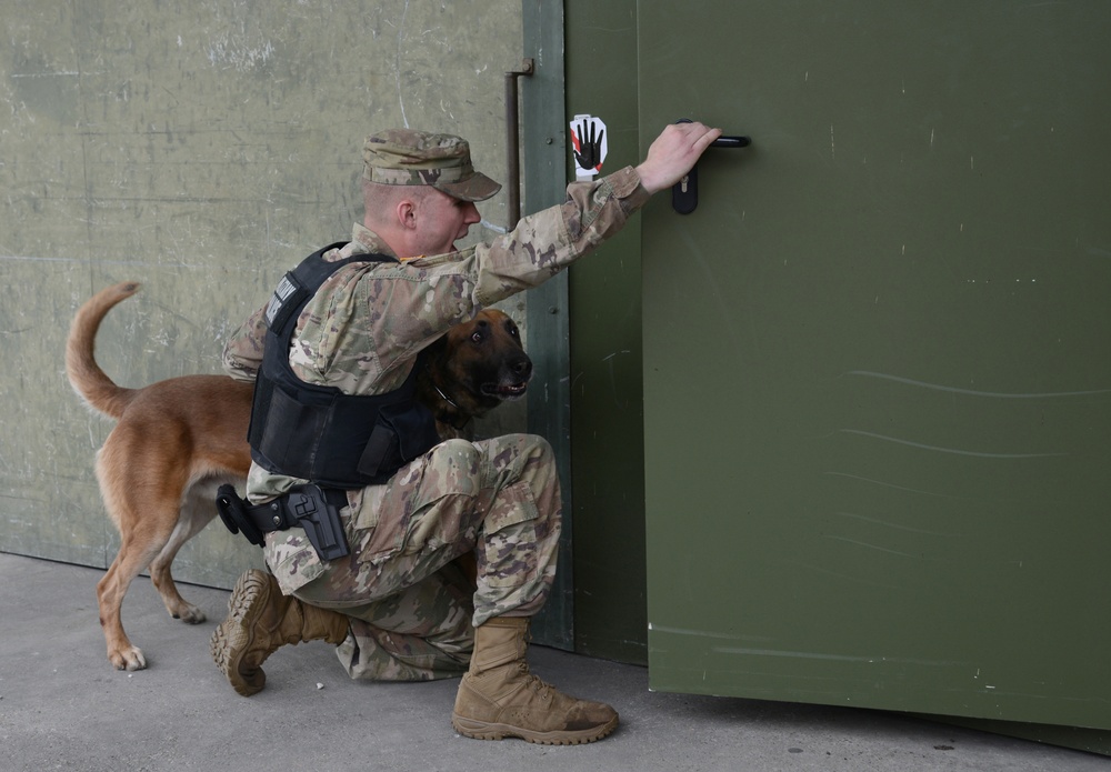 DVIDS - Images - 100th Military Police Detachment's Military Working ...