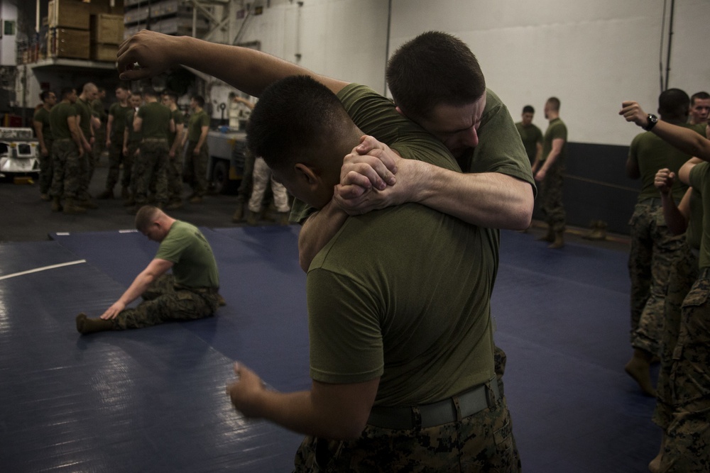 DVIDS - Images - 31st MEU Marines sustain MCMAP techniques aboard the ...