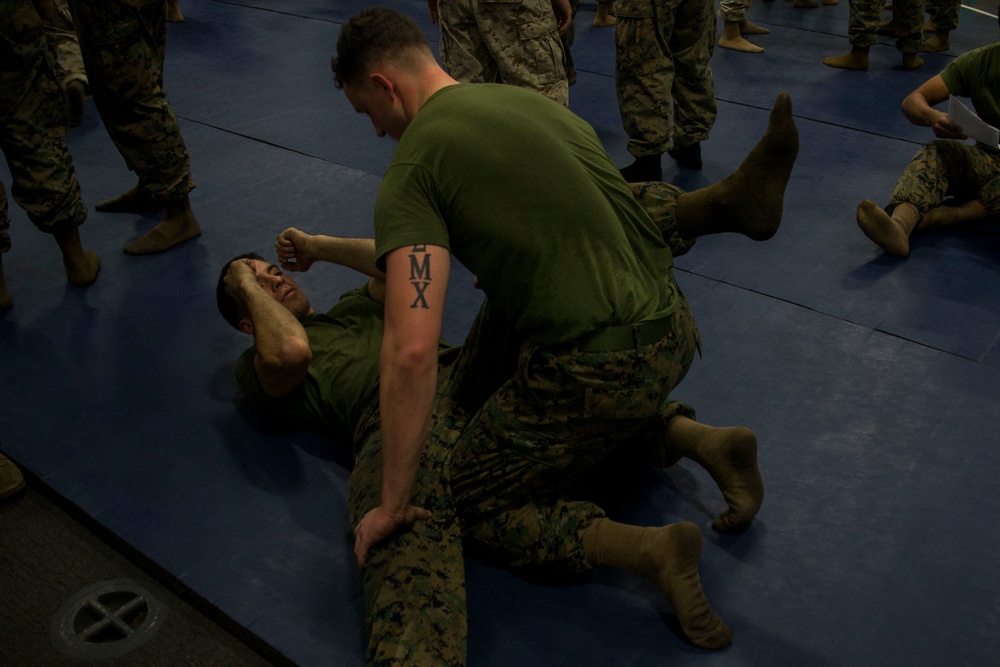 DVIDS - Images - 31st MEU Marines sustain MCMAP techniques aboard the ...