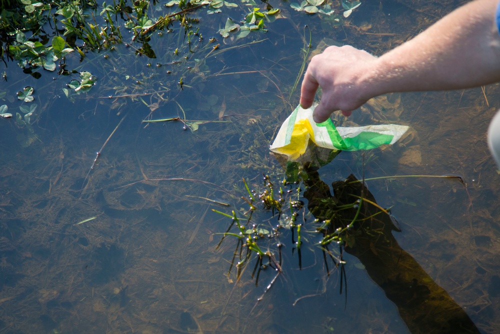DVIDS - Images - MCAS New River conducts shoreline clean-up [Image 8 of 9]