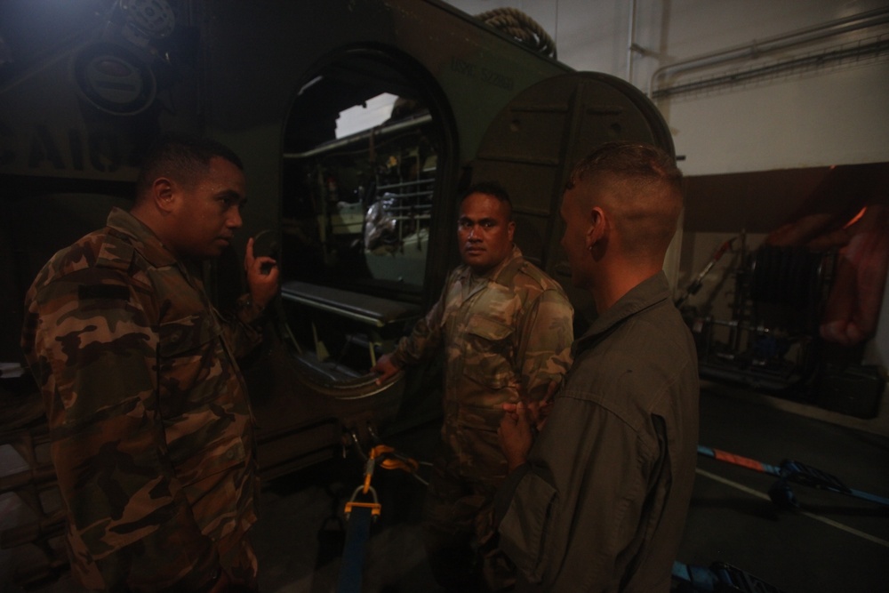 DVIDS - Images - Tongan Marines get familiar with AAVs aboard HMAS ...
