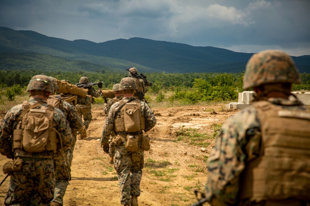 DVIDS - Images - Platinum Lion APOBS Dry Run [Image 6 of 17]