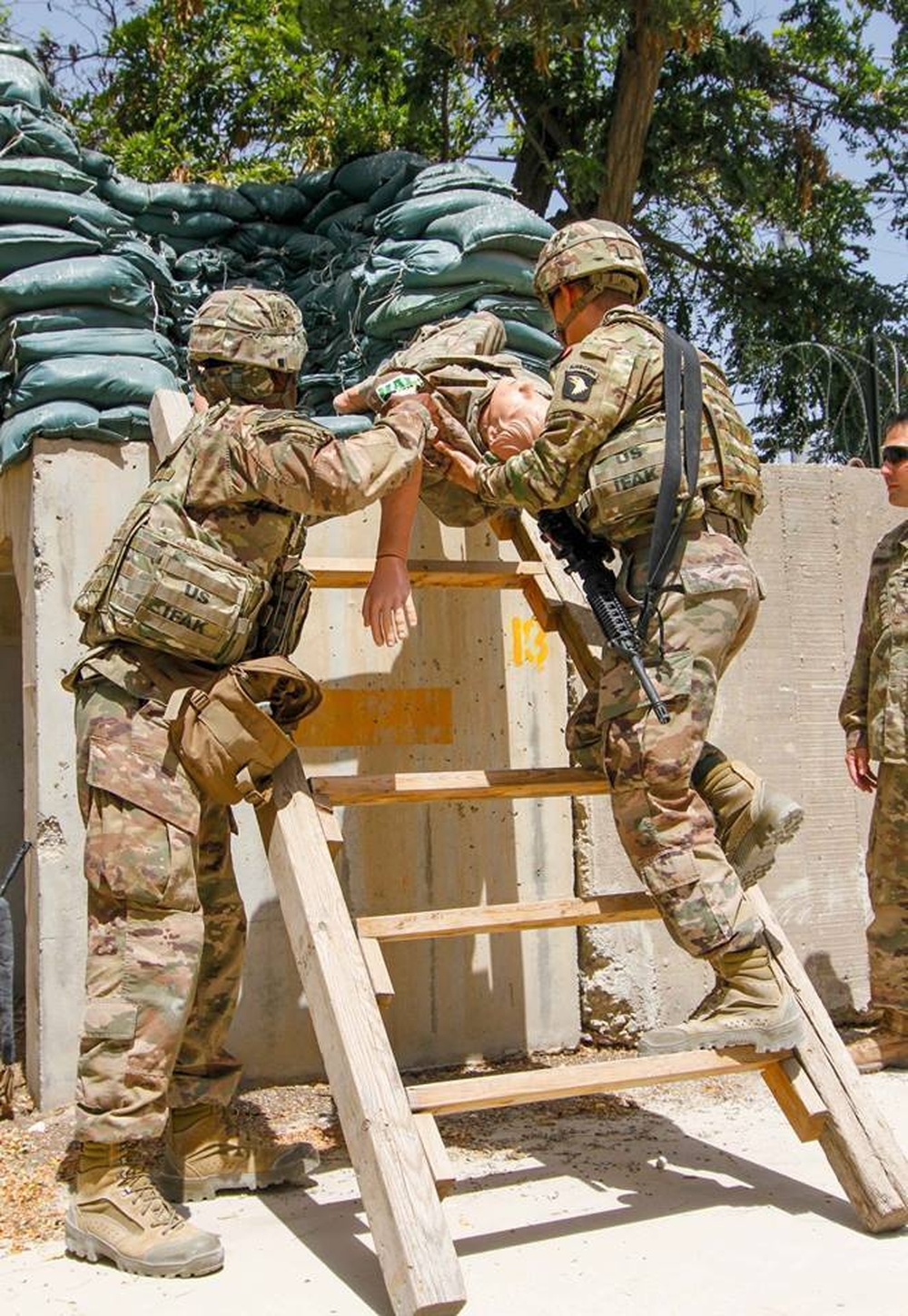 DVIDS - News - 101st Resolute Support Sustainment Brigade “Lifeliners ...