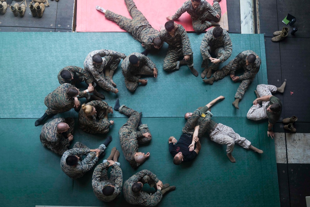 DVIDS - Images - Marines on the MAI course train in the well deck ...