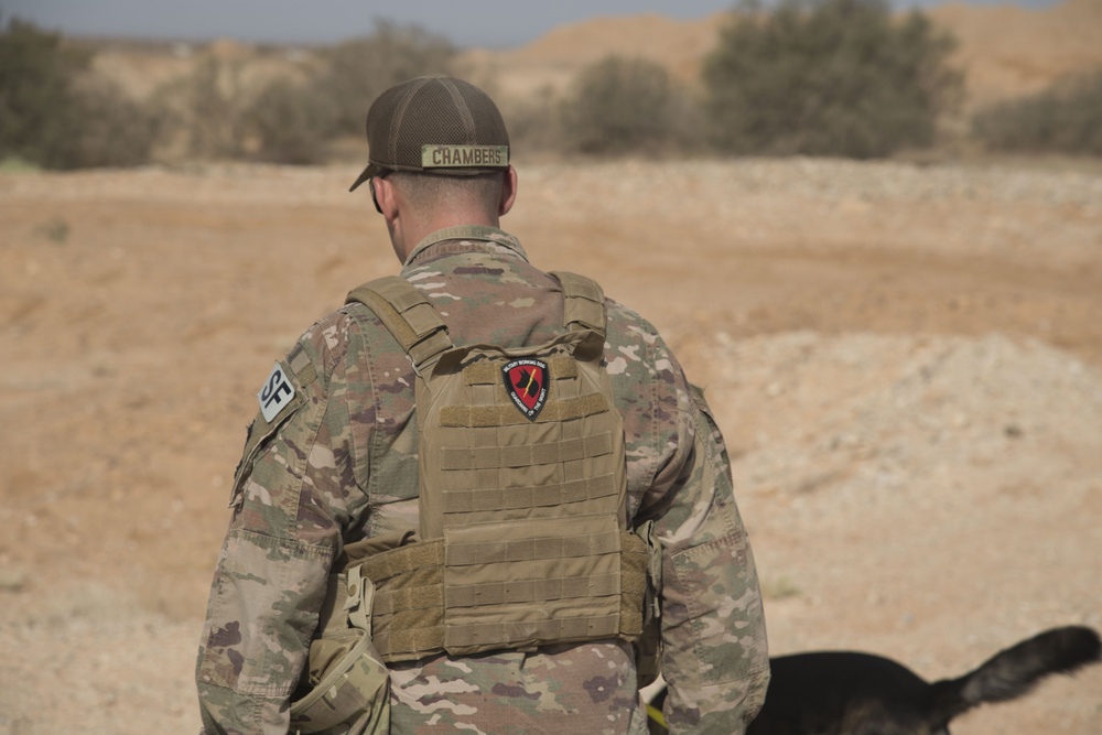 DVIDS - Images - 332nd ESFS trains military working dogs for success ...