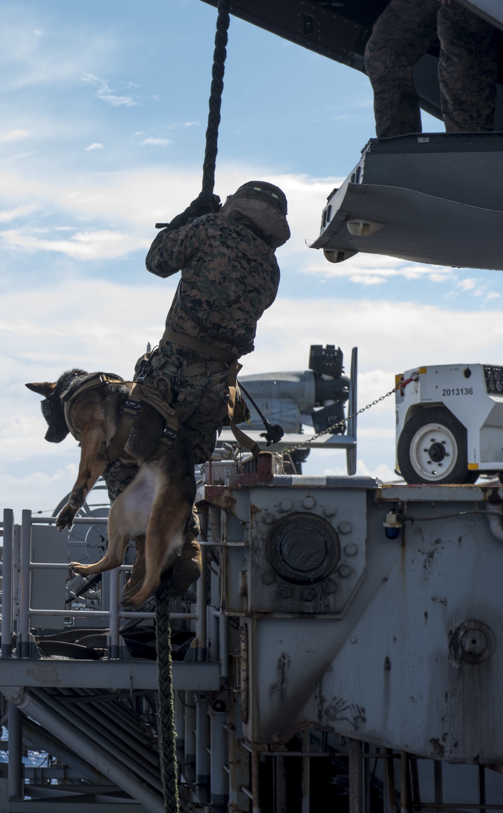 DVIDS - Images - USS Wasp Fast Rope Training [Image 6 of 9]