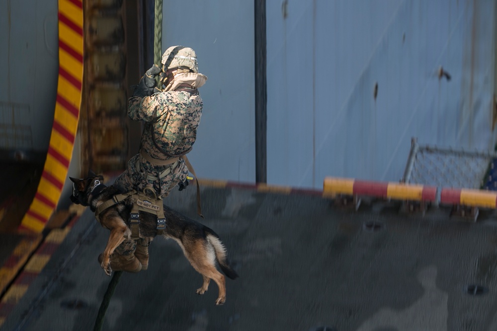 DVIDS - Images - 31st MEU Marines, Sailors refine fast rope ...