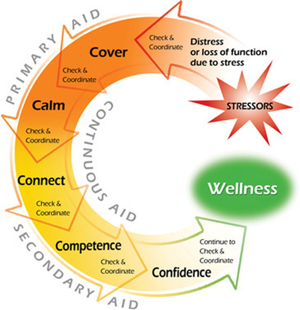 DVIDS - Images - Using Seven C’s on the Seven Seas and beyond – Navy ...