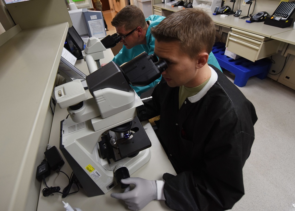 DVIDS - News - 7th MDSS laboratory brings home team of the year award