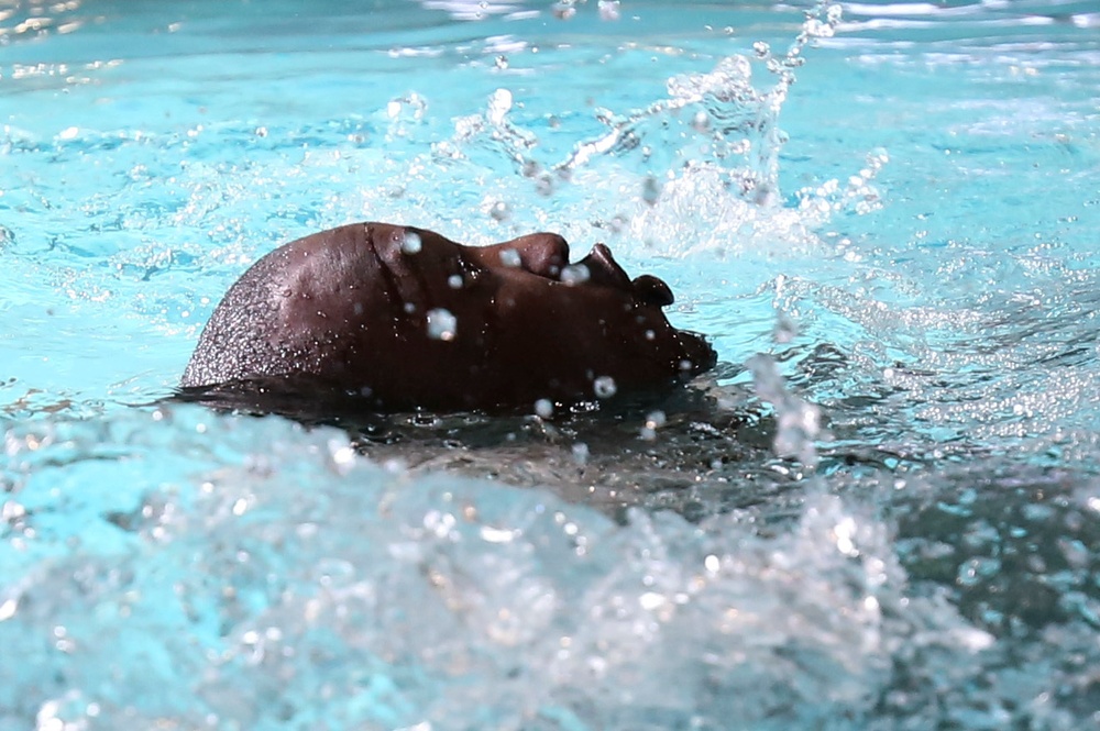 DVIDS - Images - Bravo Company dives into swim qualification training ...