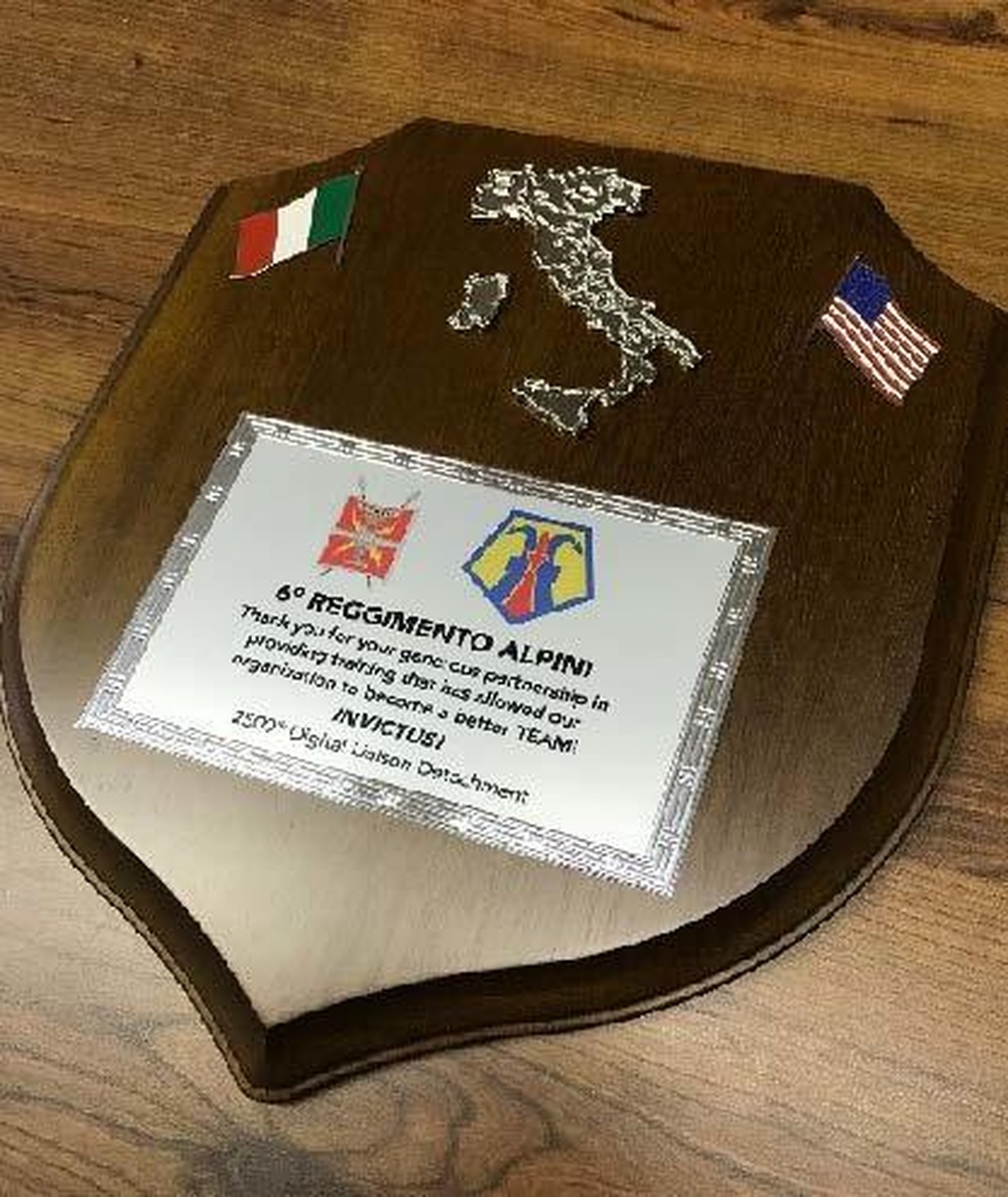 DVIDS - News - US Army Reserve unit climbs Mount Alpini alongside ...