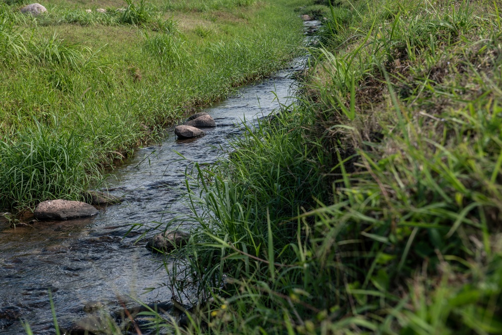 DVIDS - Images - ARFOR trains with water purification system [Image 4 ...