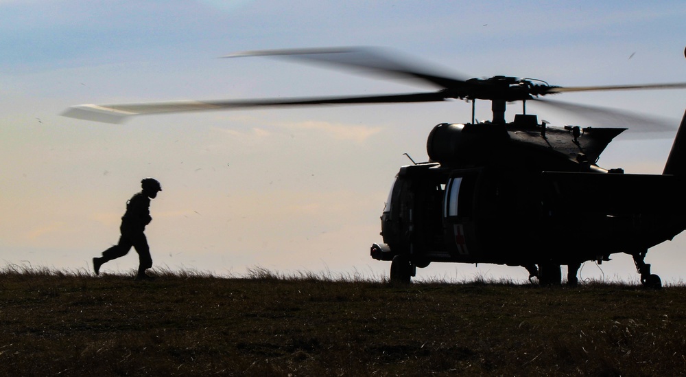 DVIDS - Images - 3-1 AHB Combined Air Assault Exercise [Image 3 of 5]