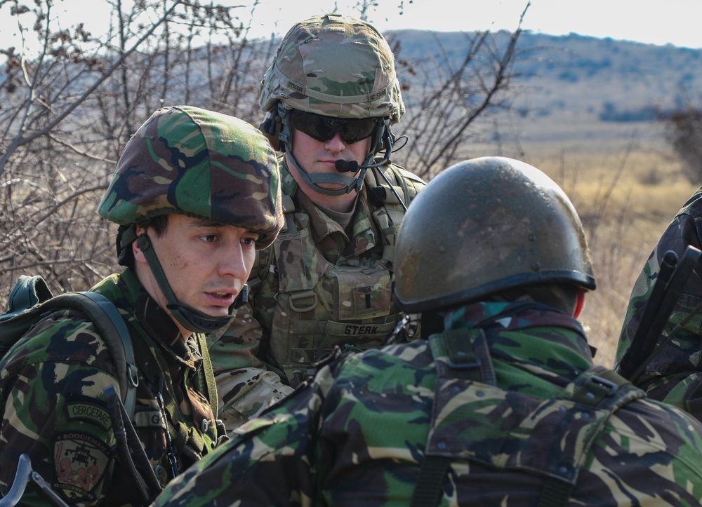 DVIDS - Images - 3-1 AHB Combined Air Assault Exercise [Image 4 of 5]