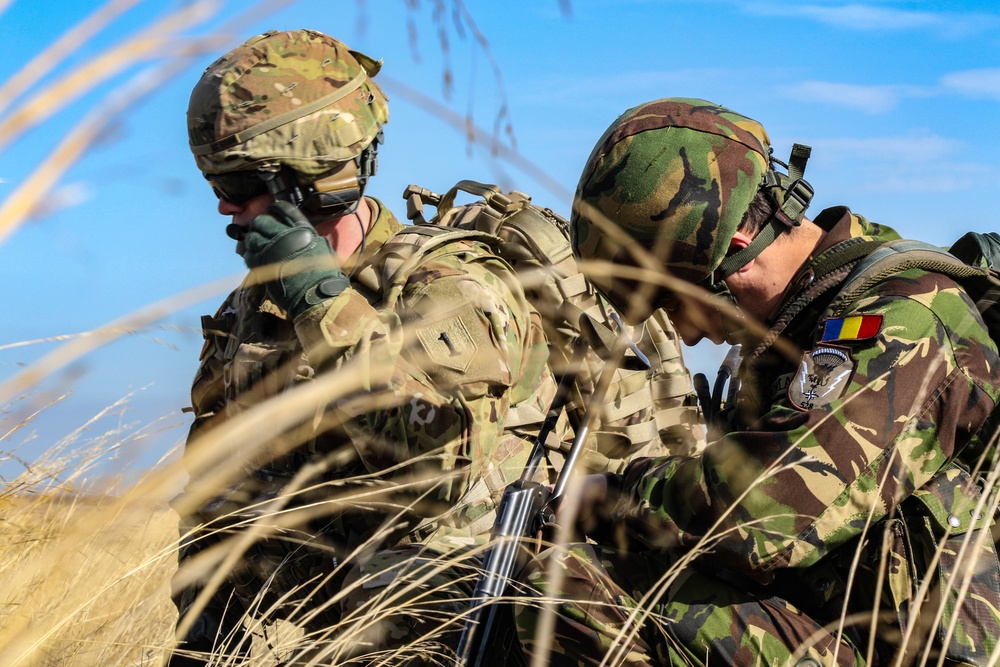 DVIDS - Images - 3-1 AHB Combined Air Assault Exercise [Image 5 of 5]