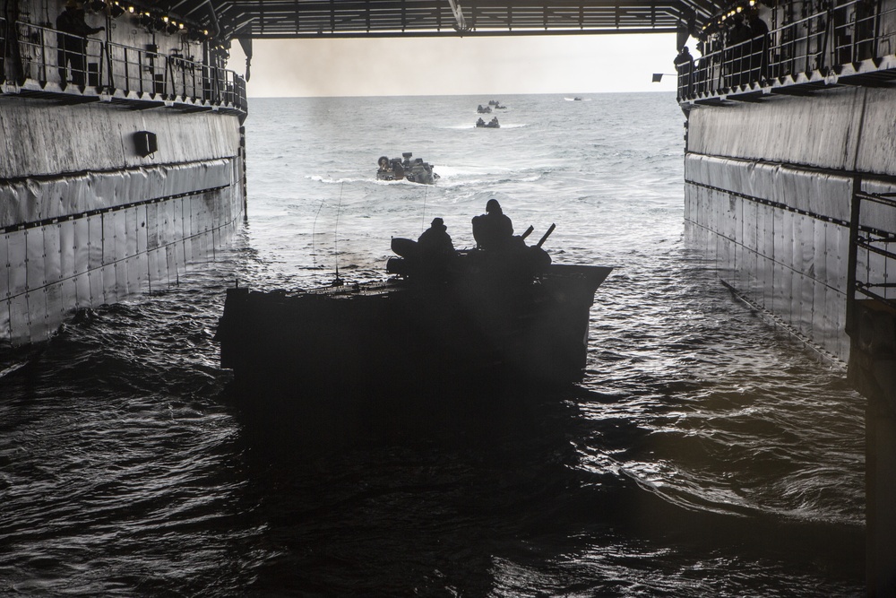 DVIDS - Images - 2d AABn assaults from the USS Oak Hill [Image 4 of 5]