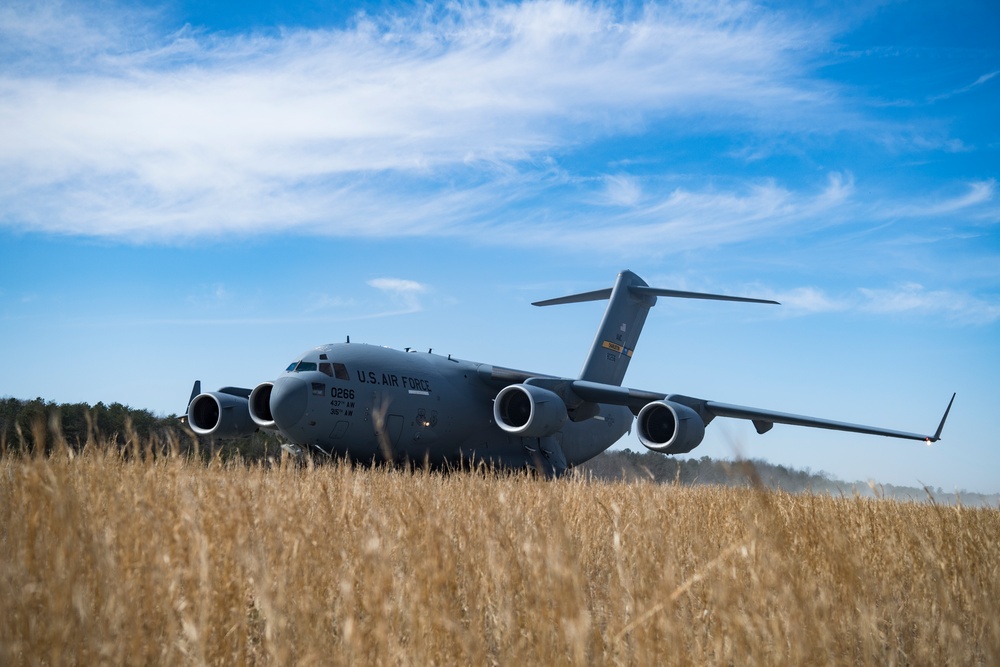 DVIDS - Images - C-17 flight 317th AS [Image 5 of 9]