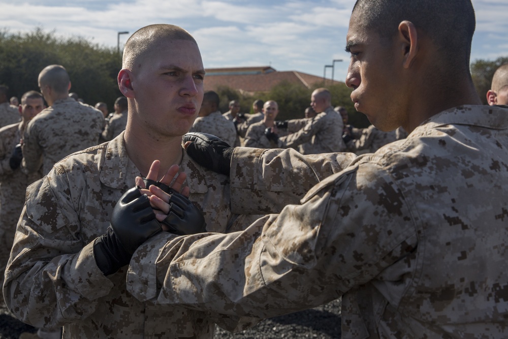 DVIDS - Images - Fox Company - MCMAP - 04/18/2019 [Image 4 of 6]