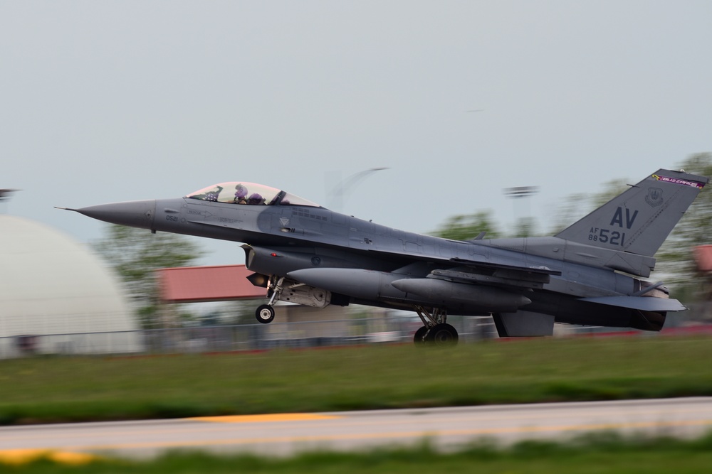 DVIDS - Images - Buzzards return to Aviano Air Base [Image 1 of 5]