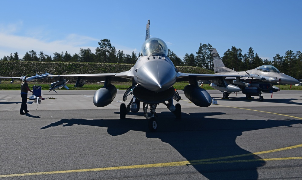 DVIDS - Images - Arctic Challenge Exercise 2019 [Image 1 of 9]