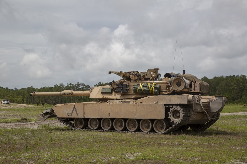 DVIDS - Images - BLT 2/8 and 2nd Tanks [Image 3 of 5]