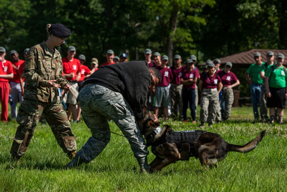 DVIDS - News - Cadets become leaders at Scott AFB