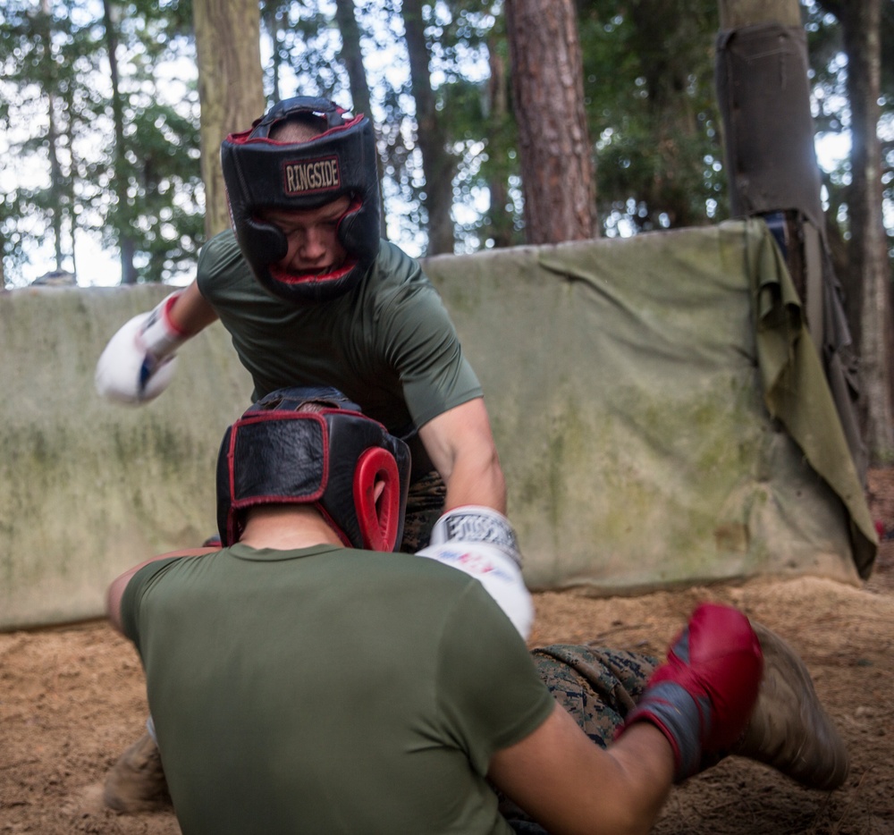 DVIDS - Images - Golf Company Body Sparring [Image 1 of 13]