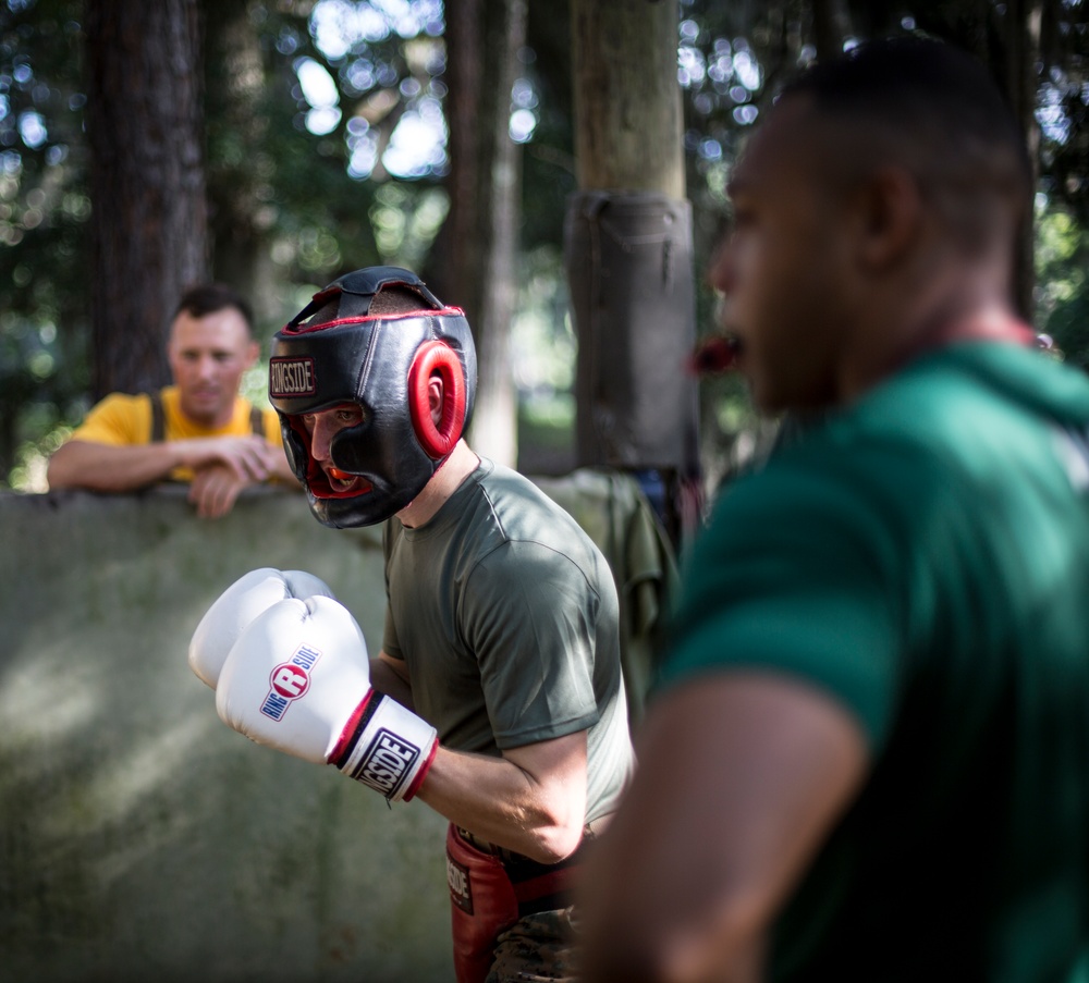 DVIDS - Images - Golf Company Body Sparring [Image 7 of 13]