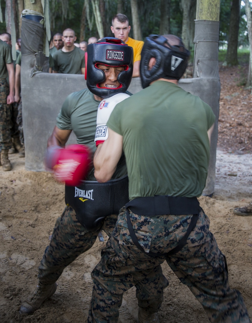 DVIDS - Images - Golf Company Body Sparring [Image 12 of 13]