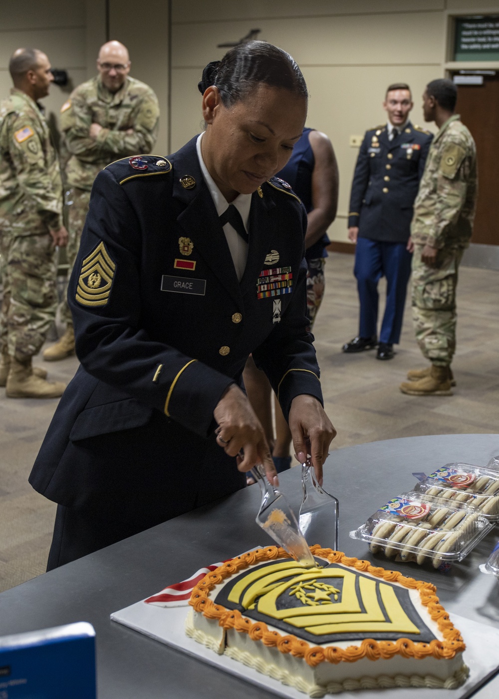 DVIDS - Images - 1st Theater Sustainment Command Promotion Ceremony ...