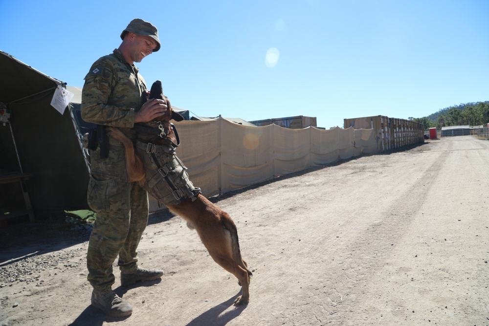 DVIDS - Images - Exercise Talisman Saber 2019 [Image 3 of 5]