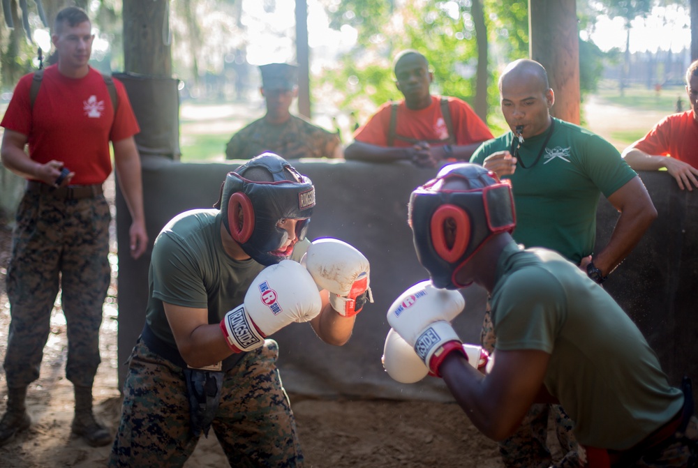 DVIDS - Images - Delta Company Body Sparring [Image 1 of 14]