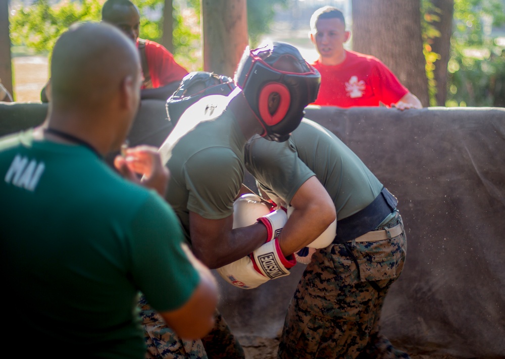 DVIDS - Images - Delta Company Body Sparring [Image 3 of 14]
