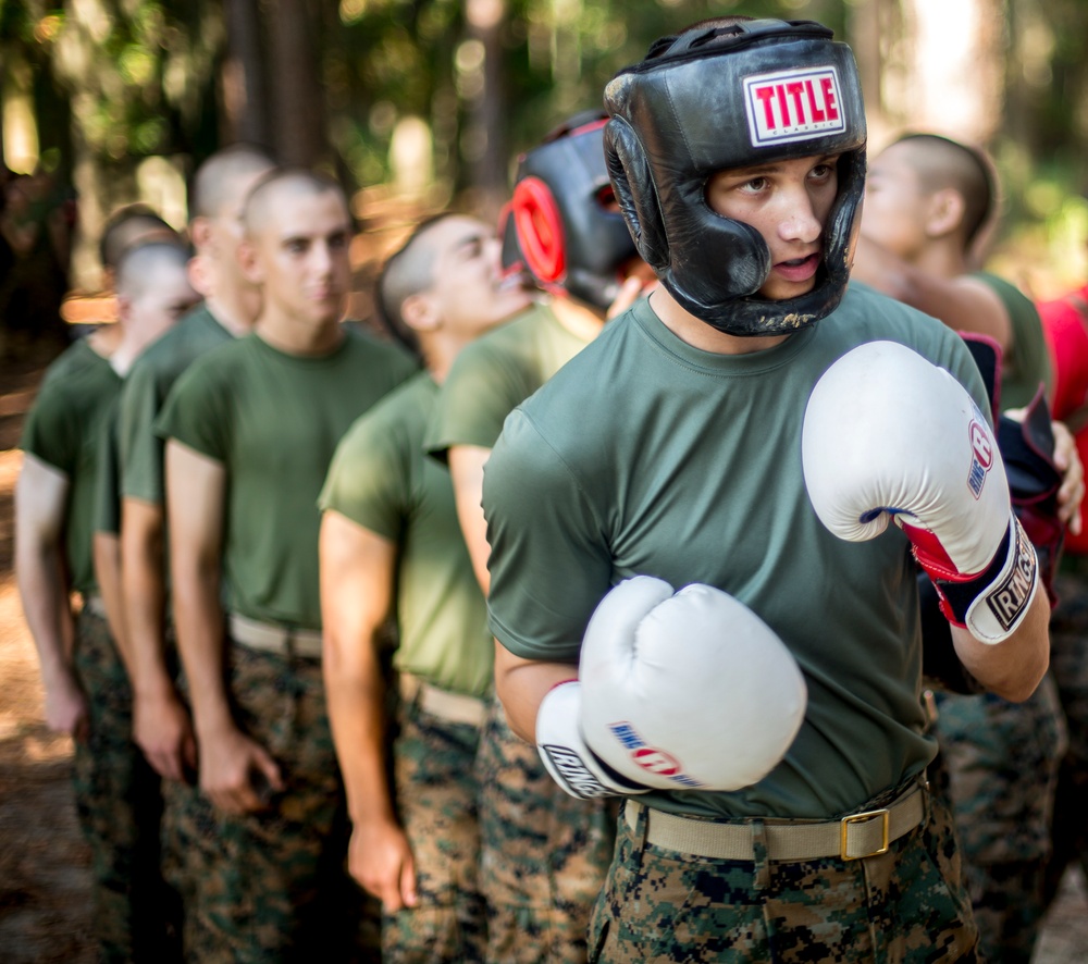 DVIDS - Images - Delta Company Body Sparring [Image 10 of 14]